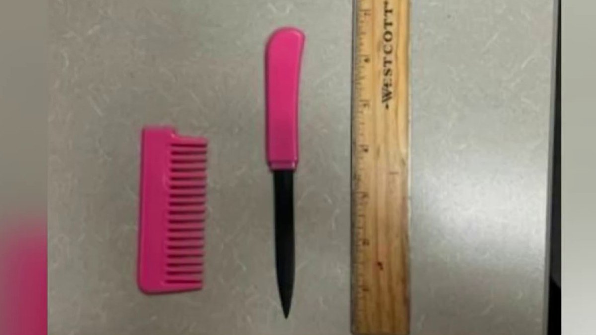 Man With Knife in Pink Comb Arrested at LA Council Meeting – NBC Los ...