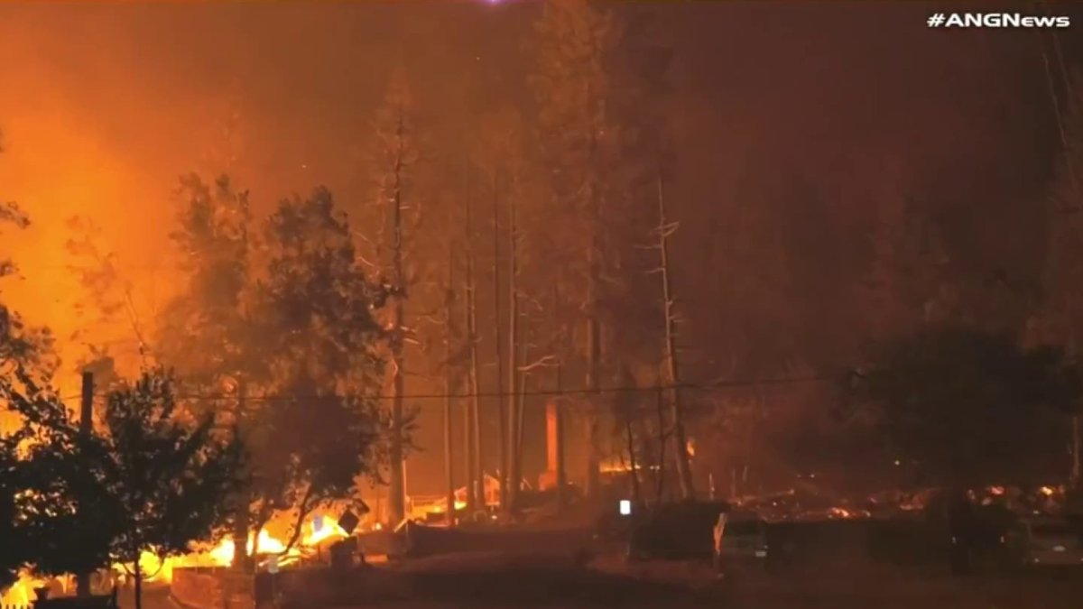Growth after record rainfall raises fears of severe fire season – NBC ...