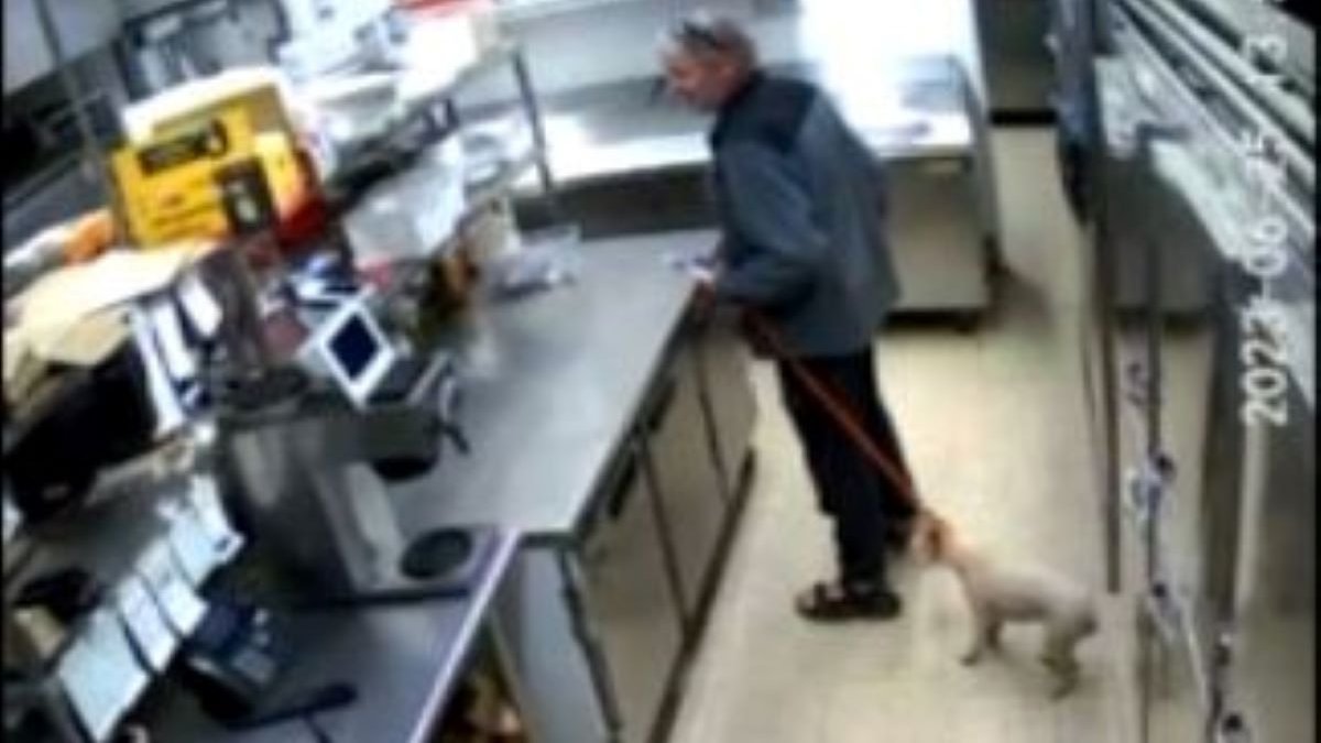 Video shows man walking dog confront SoCal pizza chef – NBC Los Angeles