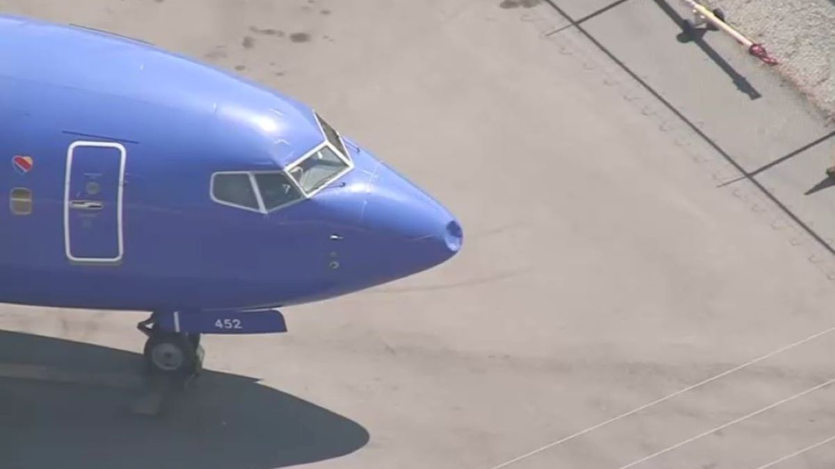 Possible bird strike dents nose of Southwest plane – NBC Los Angeles