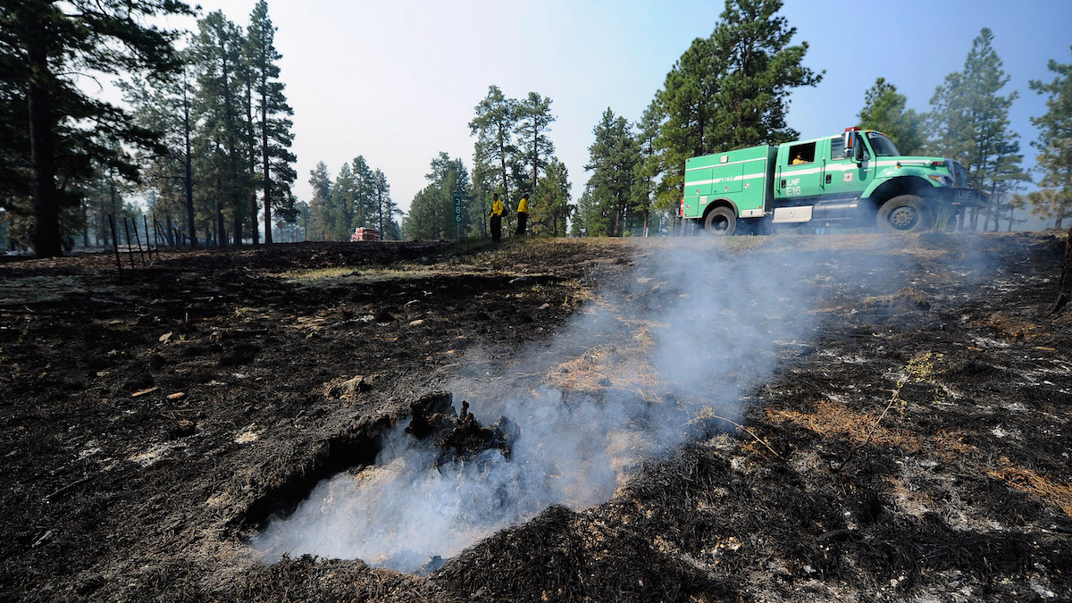 Forest Service’s prescribed sparked Cerro Pelado fire in Arizona – NBC Los Angeles