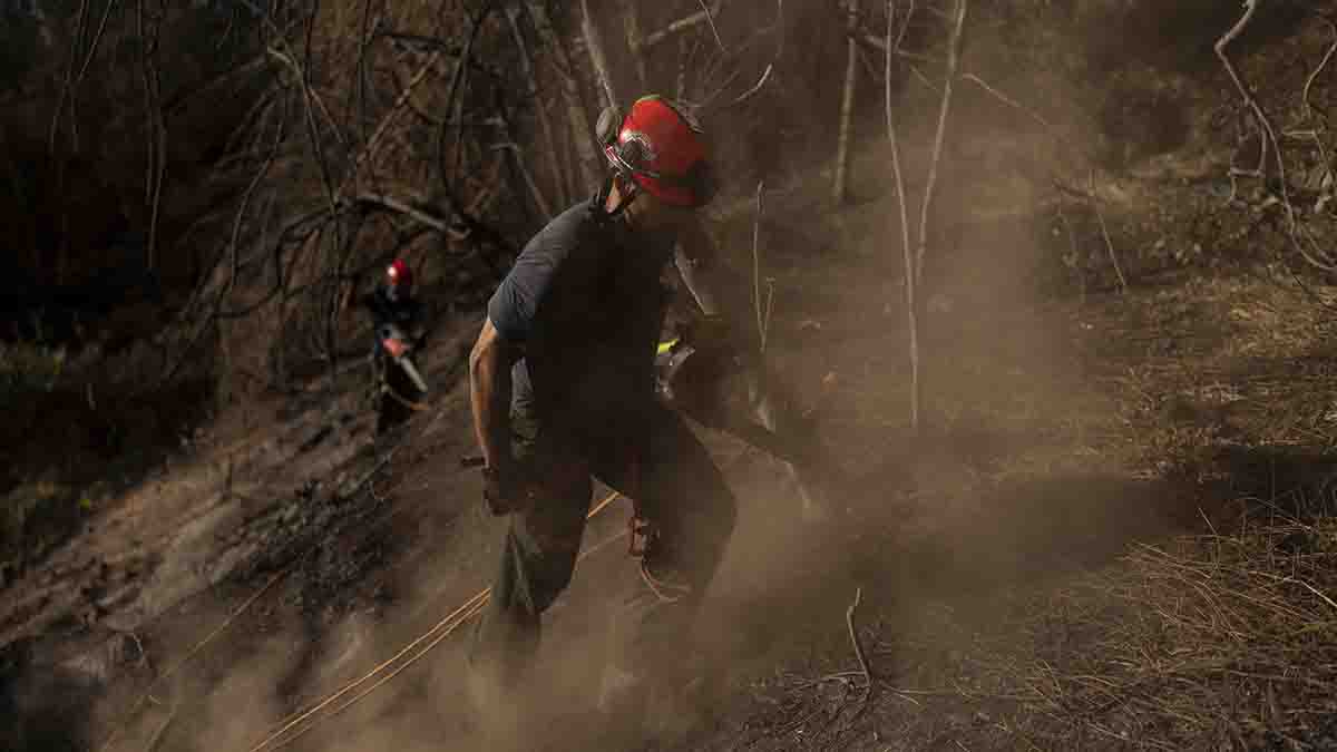 Maui wildfire survivors face power cuts and poor cell service amid ongoing search efforts – NBC ...