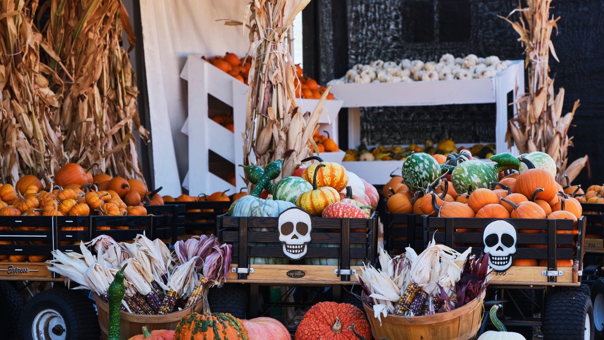 Halloween festivities in Los Angeles – NBC Los Angeles