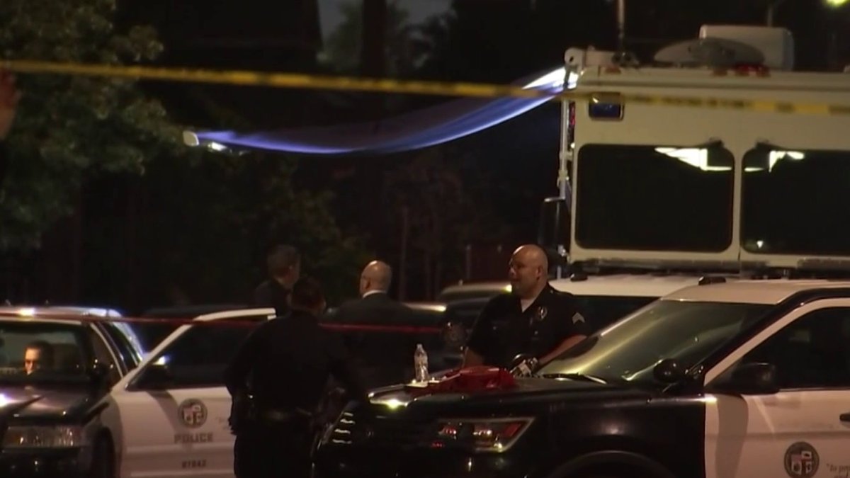 Police shoot man armed with hammer during South LA home invasion – NBC ...