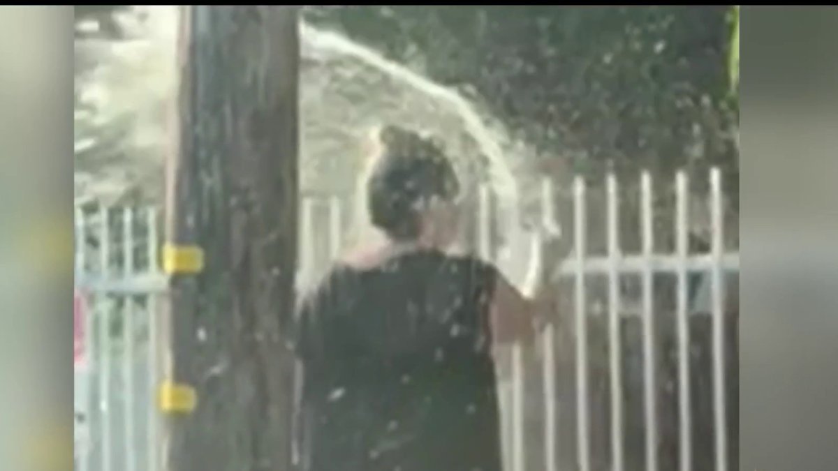 Man hoses down grandma during argument in Lake Balboa – NBC Los Angeles