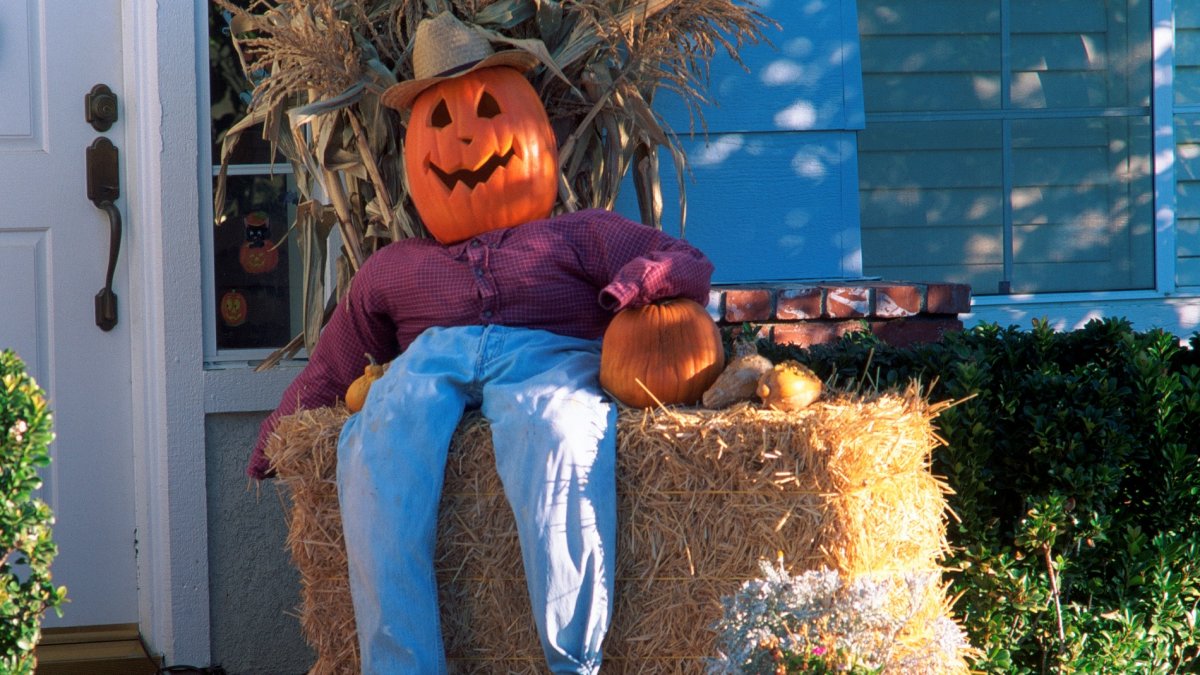 City of scarecrows: Cambria’s charming fall tradition will soon make ...