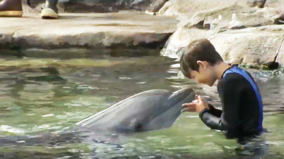 Rady Children’s Hospital patients swim and take a dip with dolphins at ...