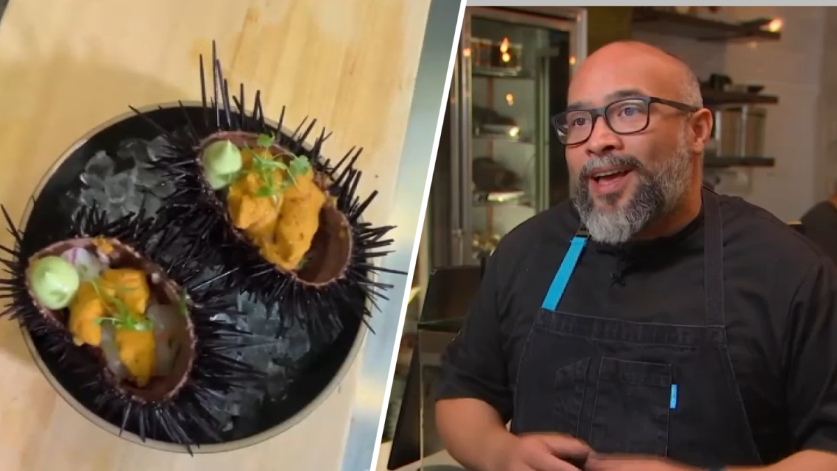 Chef brings region of Yucatan to plates through seafood – NBC Los Angeles