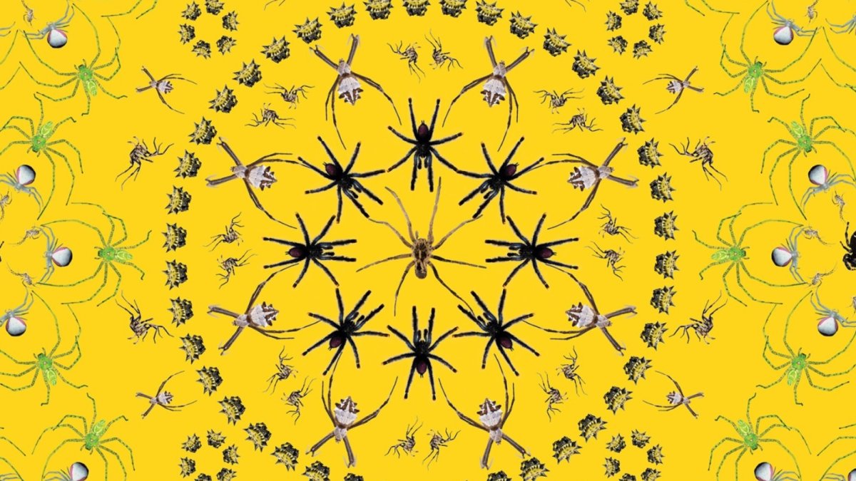 Spin by the Natural History Museum to admire a colossal colony of ...