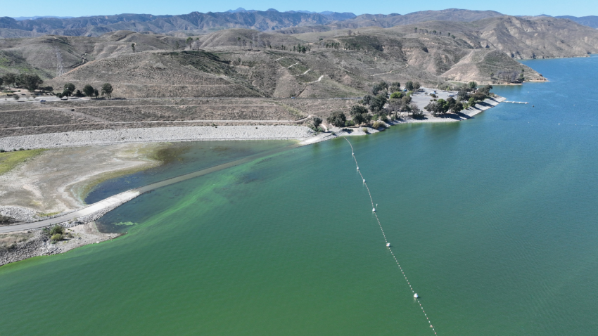 Danger advisory issued at Upper Castaic Lake over toxic algae bloom ...