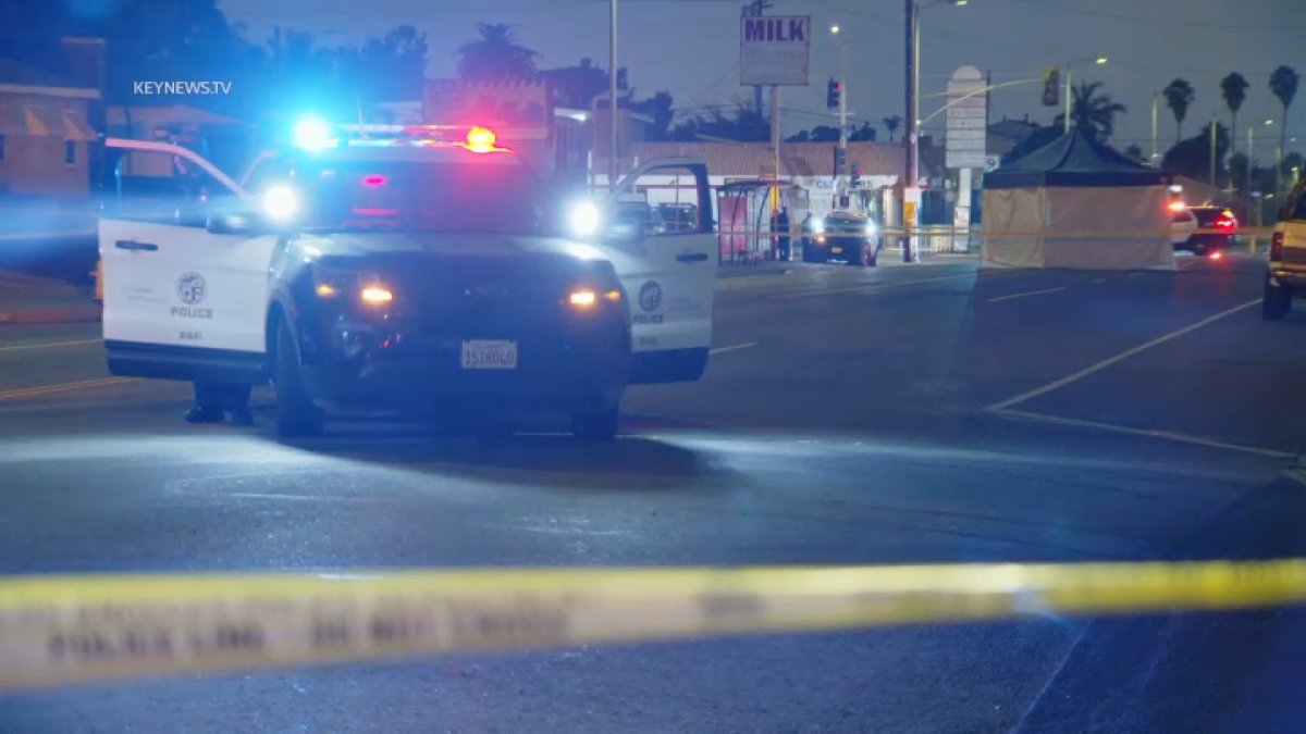 Reward up to $50k offered for info on South LA hit-and-run – NBC Los ...
