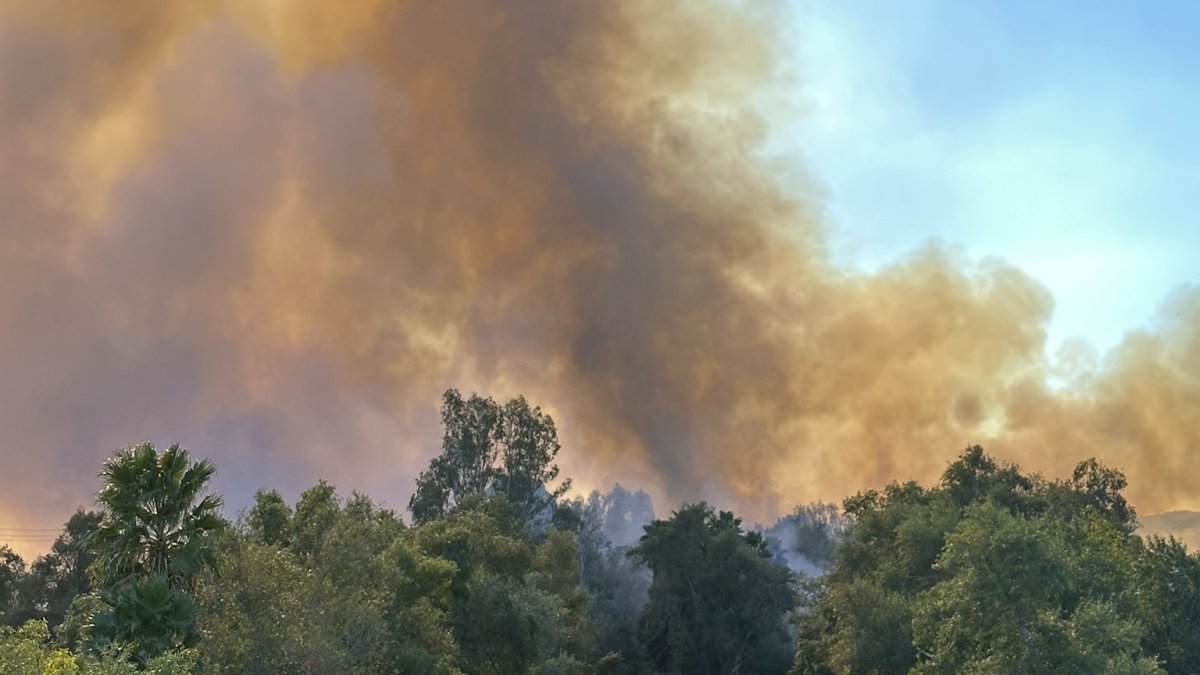 Firefighters battle vegetation fire in Chino – NBC Los Angeles