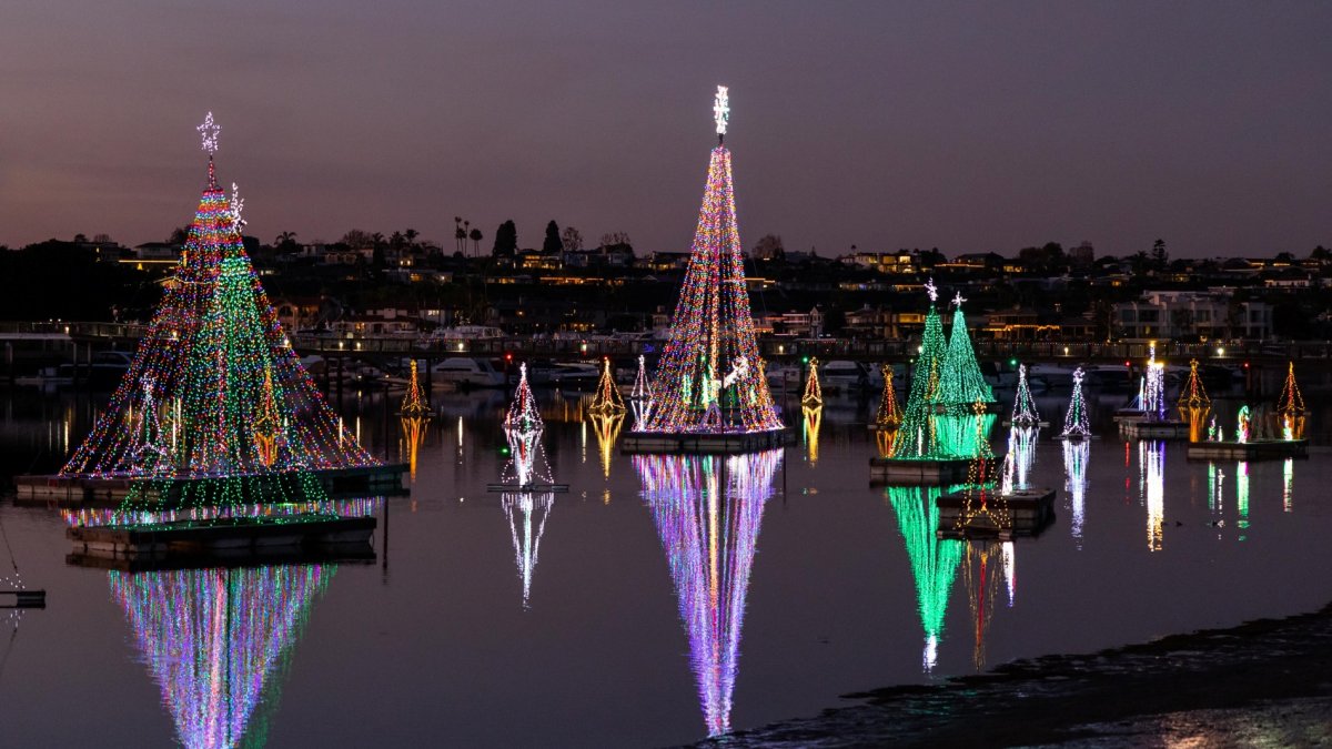 Trees on the ocean: It’s almost time for ‘Lighting of the Bay’ at ...