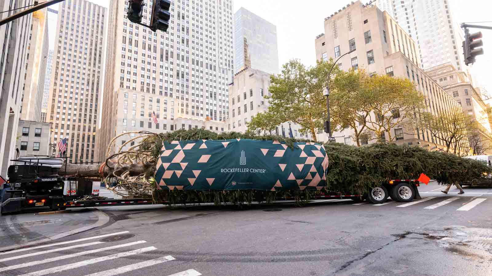 Who picks the Rockefeller Center Christmas tree? – NBC Los Angeles