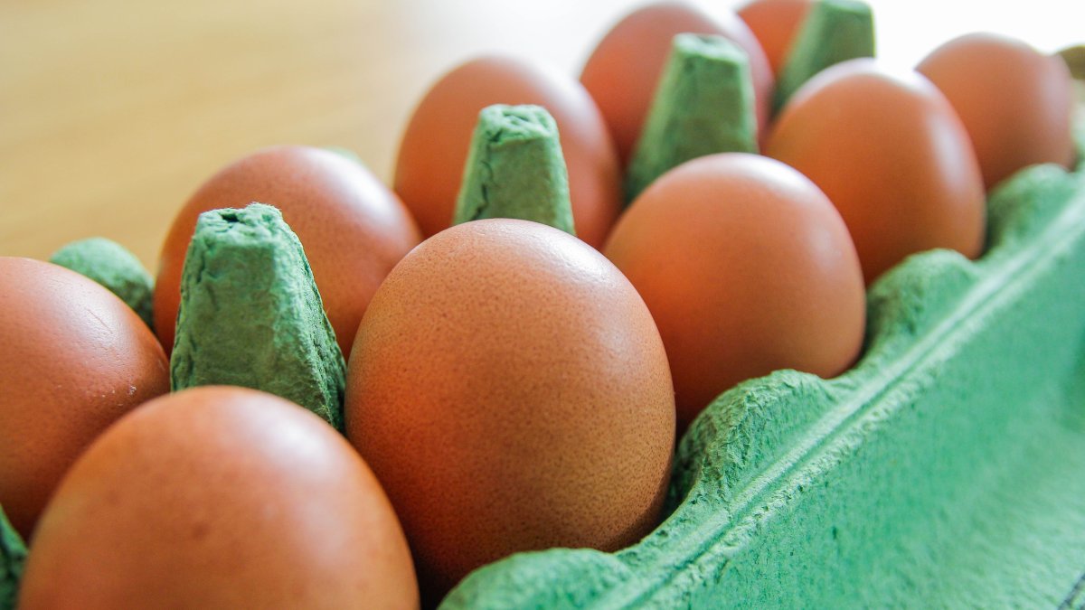 Salmonella outbreak linked to eggs sold in Illinois, Indiana leaves 79 ...