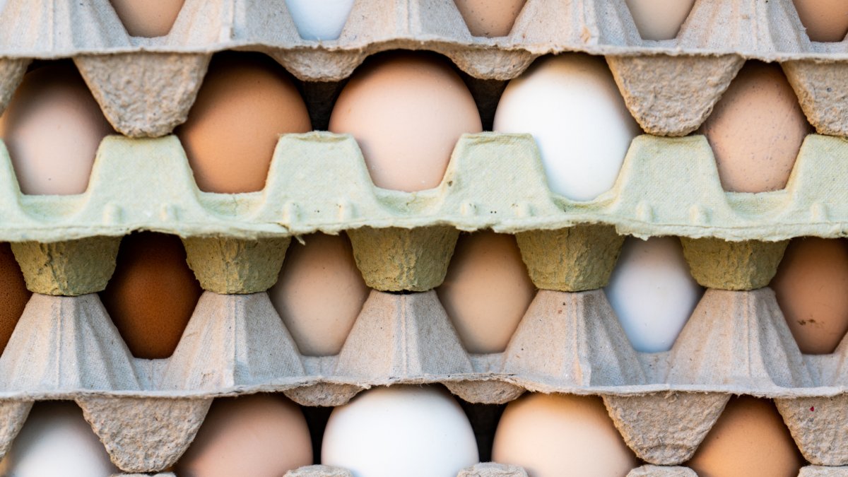 Why are eggs so expensive? – NBC Los Angeles