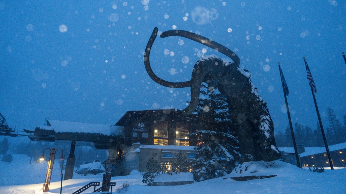 Everyone’s favorite mountain beastie (yep, Mammoth’s mammoth) is ...