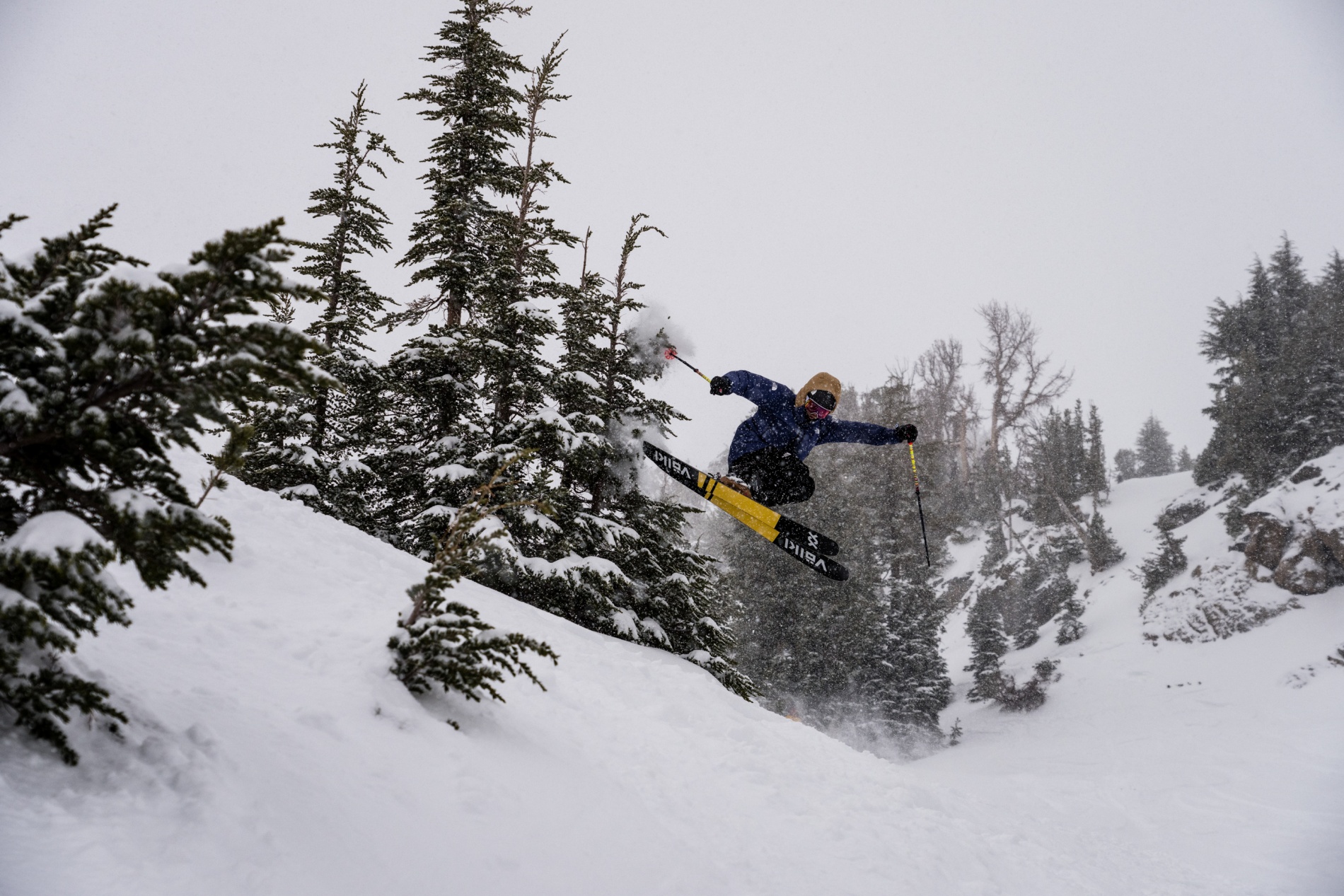 Everyone’s favorite mountain beastie (yep, Mammoth’s mammoth) is ...