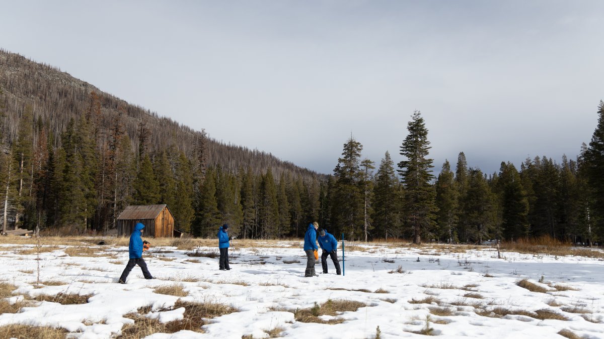 See results of California snowpack survey – NBC Los Angeles