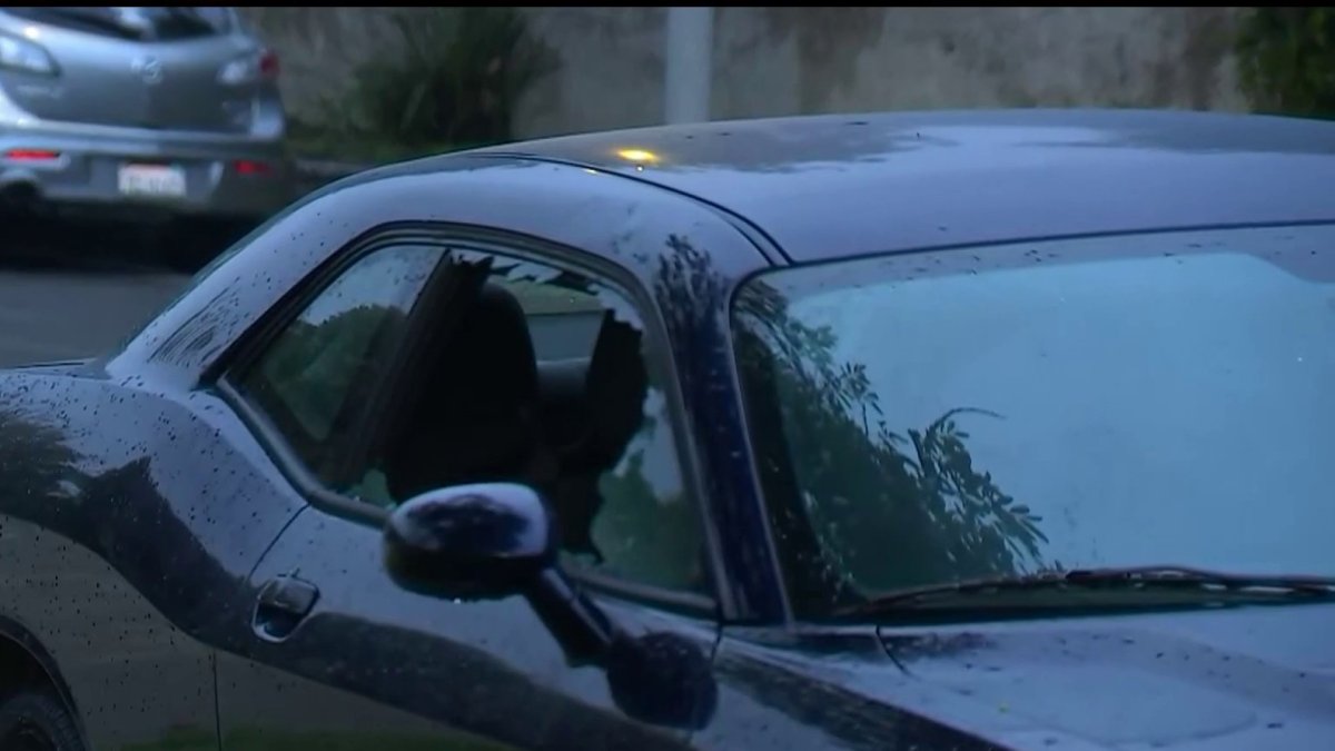 More than 30 cars vandalized in Westchester – NBC Los Angeles