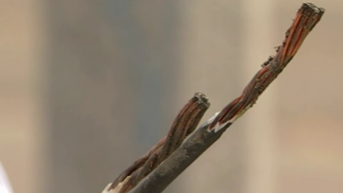 LA leaders call for action against copper thefts – NBC Los Angeles