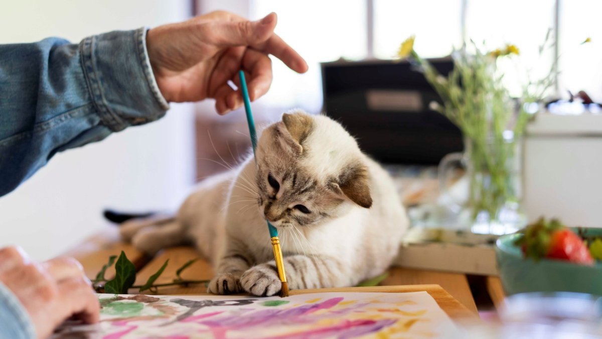 A purrfect start to 2024: The Cat Art Show will mark a milestone in ...