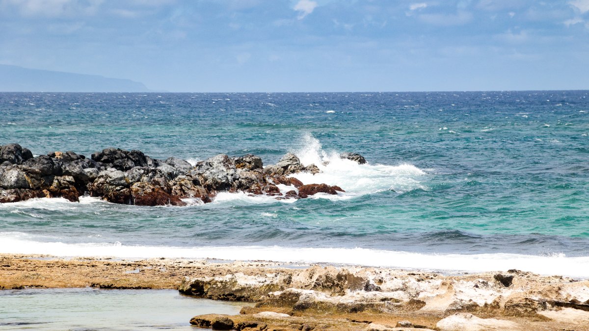 Surfer dies after shark ‘encounter’ in Hawaii – NBC Los Angeles