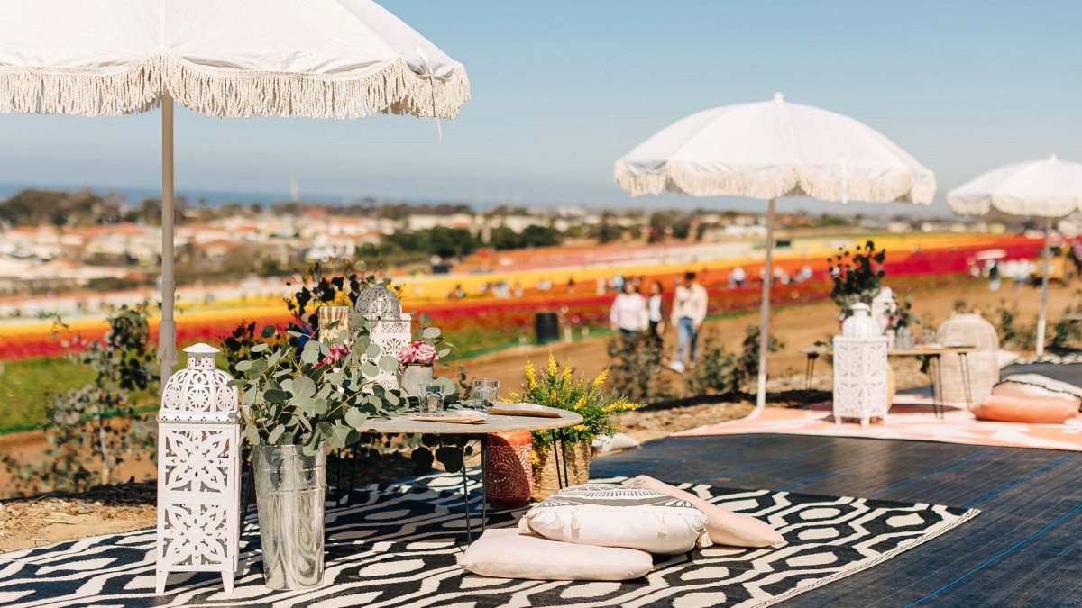 Here’s your charming chance to picnic at the world-famous Flower Fields ...