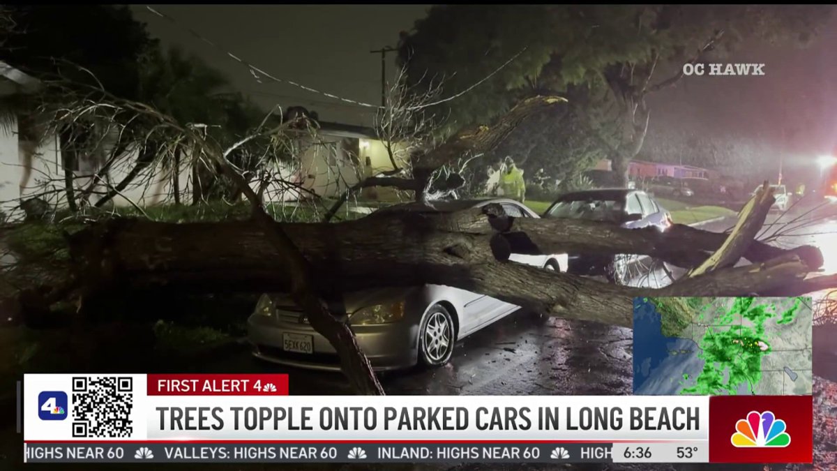 Trees topple onto parked cars in Long Beach amid Southern California ...