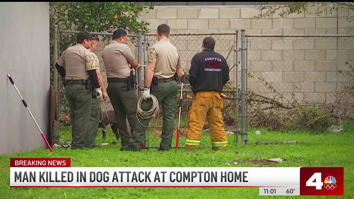 1 killed in Compton dog attack – NBC Los Angeles
