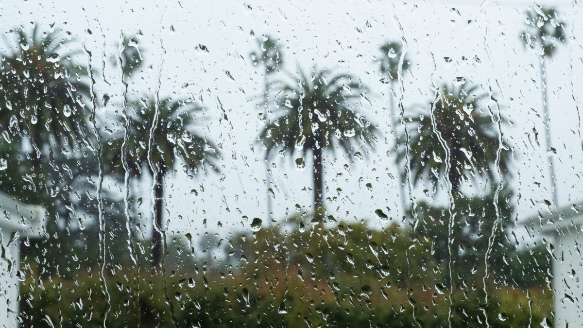 How much rain fell in SoCal? See rainfall totals – NBC Los Angeles How much rain fell in SoCal? See rainfall totals – NBC Los Angeles