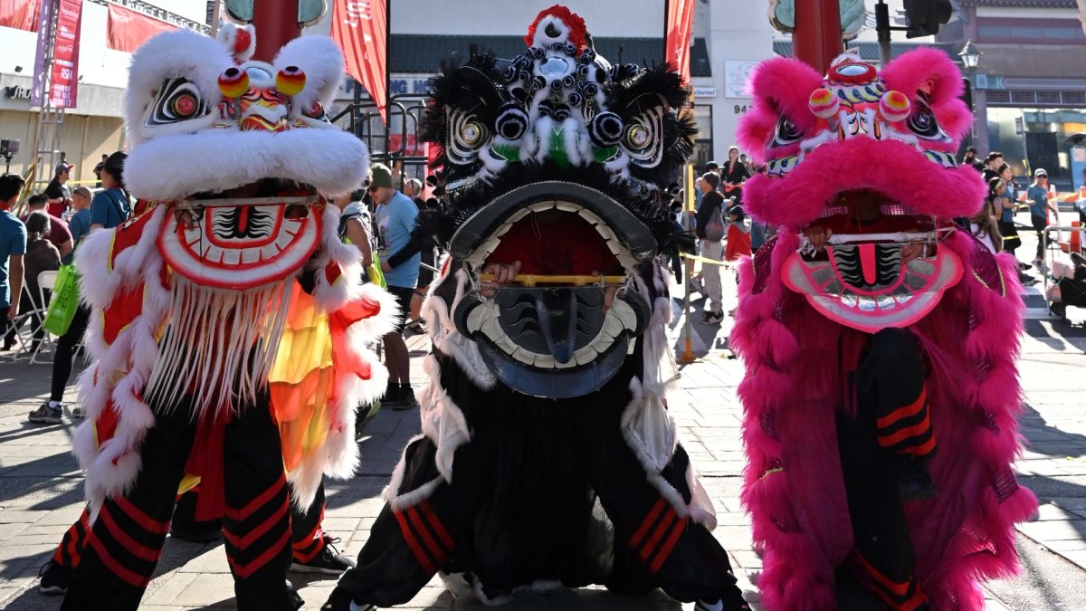 Things to do this weekend: Run, walk, or trot with your pup at the LA ...