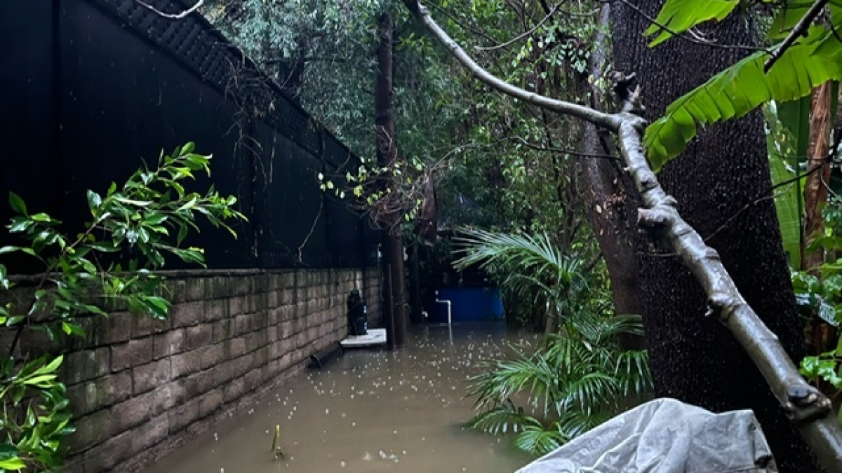 Record Rainfall Floods Sherman Oaks Home Nbc Los Angeles