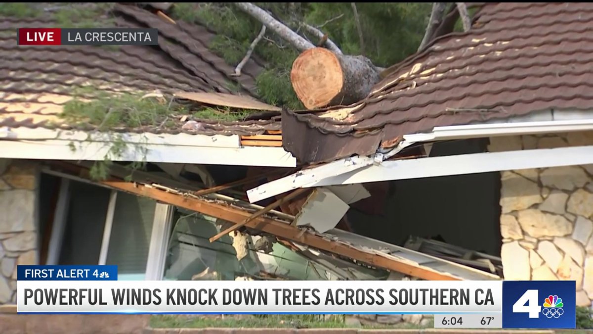 Powerful winds knock down tree onto house in La Crescenta – NBC Los Angeles