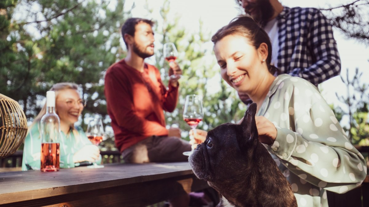 Pawsport Napa Valley is raising a toast to our besties with deals and ...