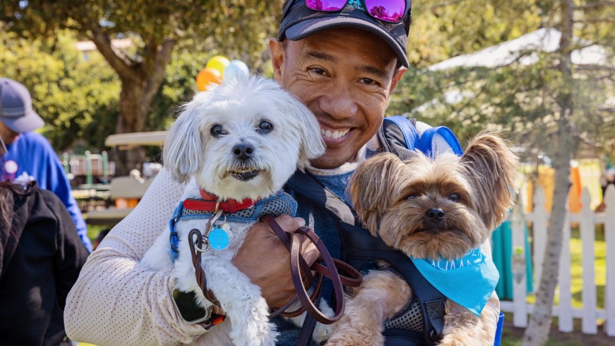 Fido fans are fundraising for the Wiggle Waggle Walk, a pup-lifting ...