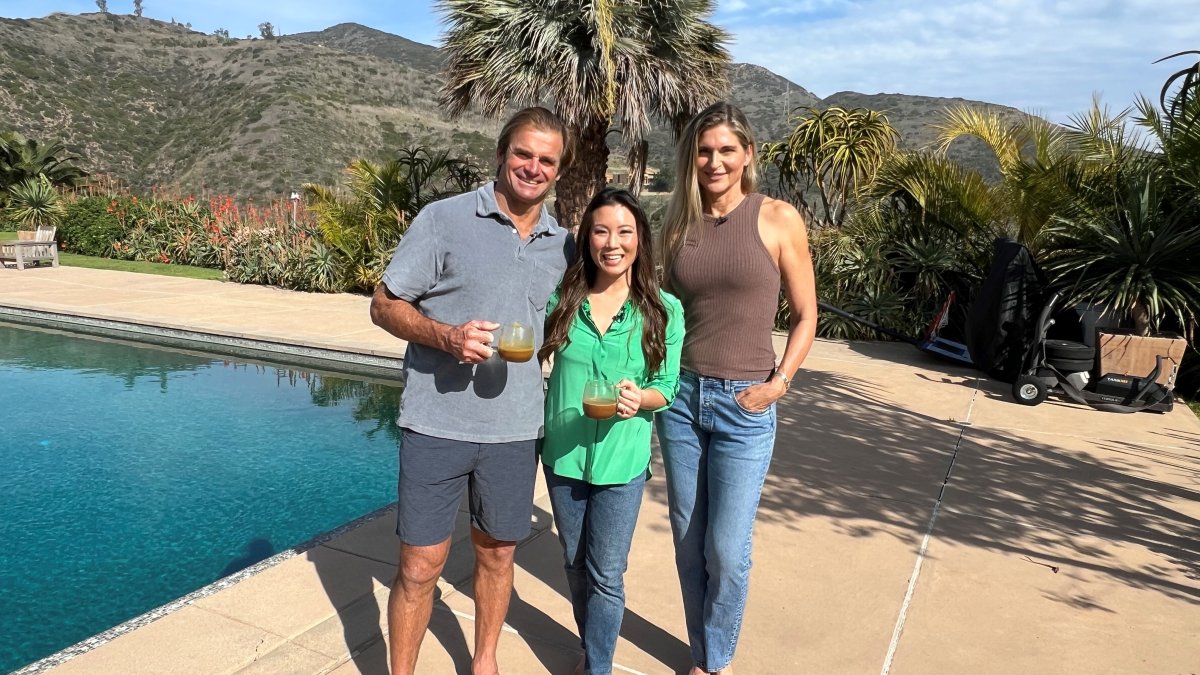 Laird Hamilton and Gabby Reece talk marriage, wellness & new superfood ...