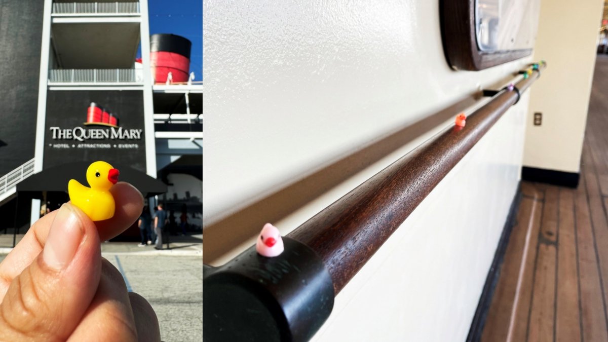 Talk about a ducky Easter: Try to find 1,000 tiny hidden ducks around ...