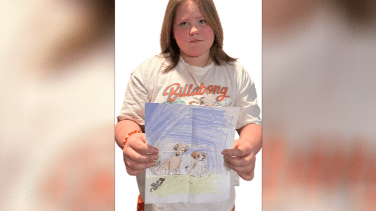 Lancaster girl with autism looking for her missing dogs – NBC Los Angeles