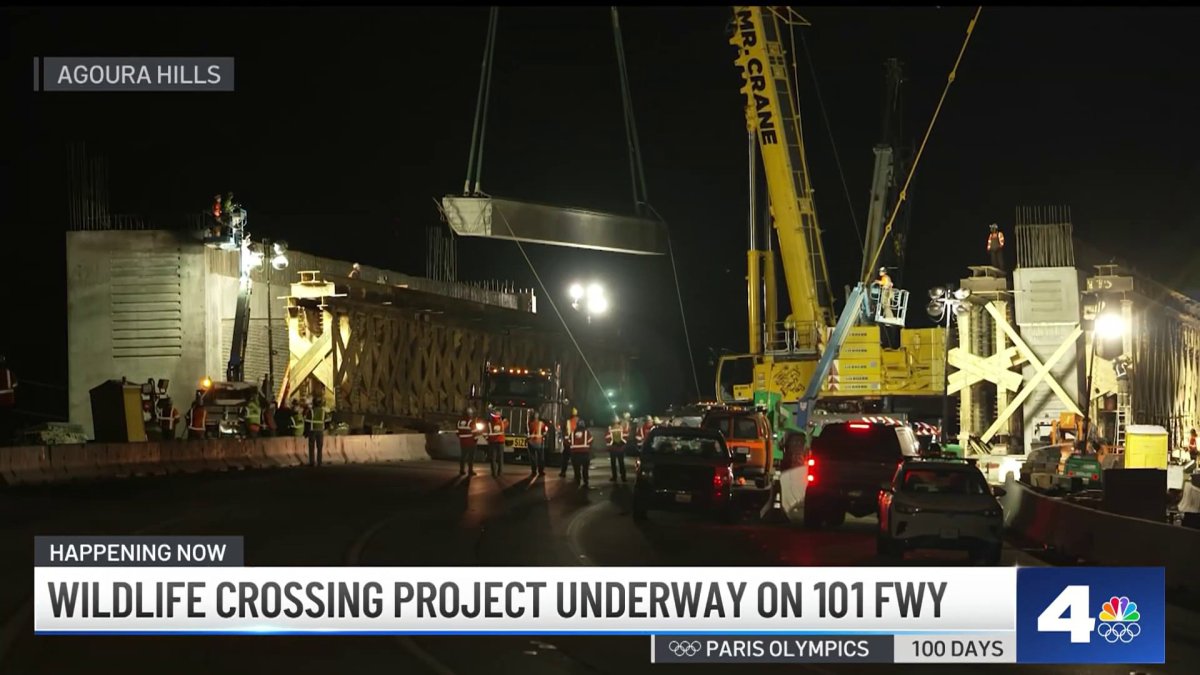 101 Freeway wildlife crossing reaches construction milestone – NBC Los ...