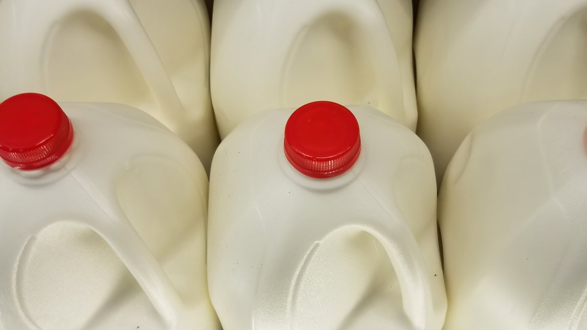 Bird flu virus found in pasteurized milk, though officials maintain ...
