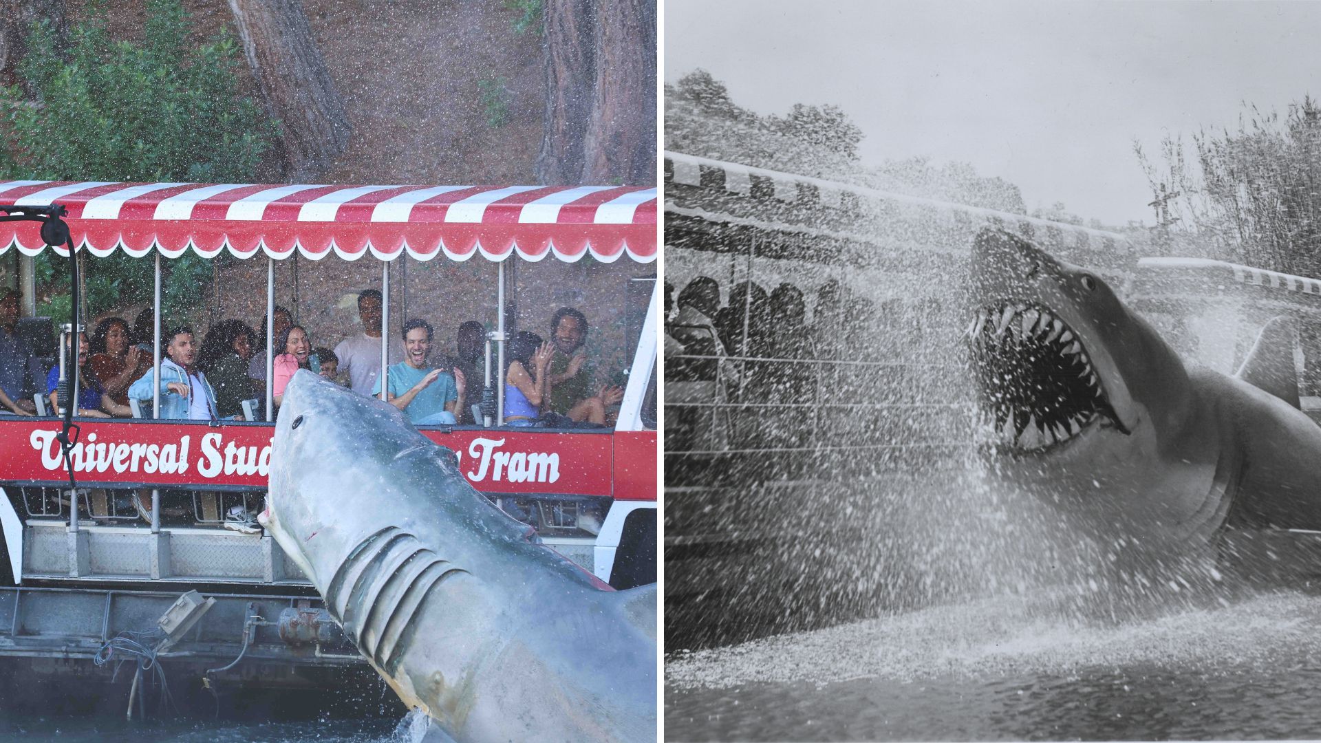 Universal Studios Hollywood celebrates Studio Tour 60 anniversary – NBC ...