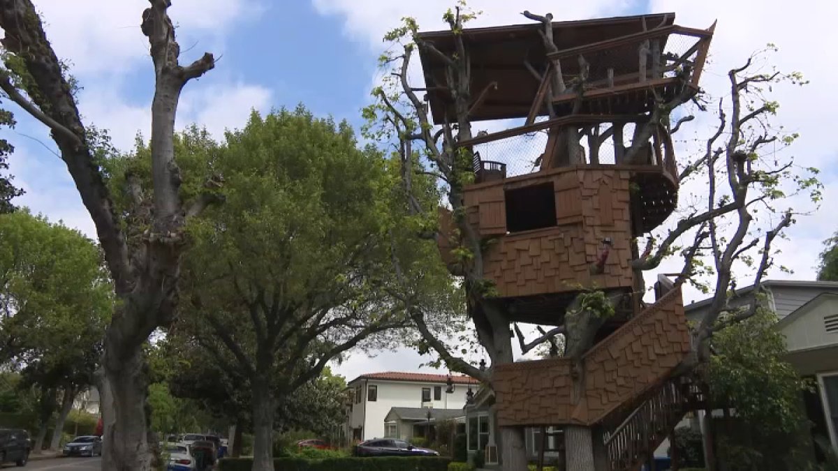 Massive treehouse in Sherman Oaks may face demise – NBC Los Angeles