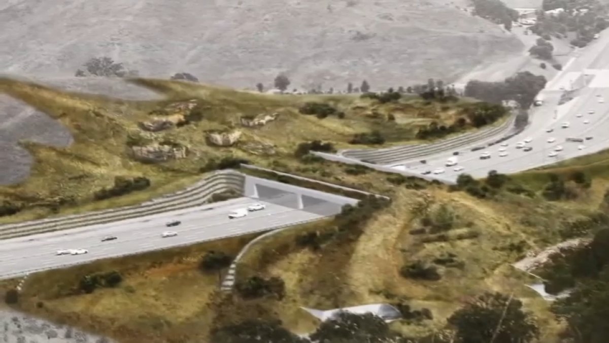 LA Wildlife Crossing construction prompts 101 freeway closures – NBC ...