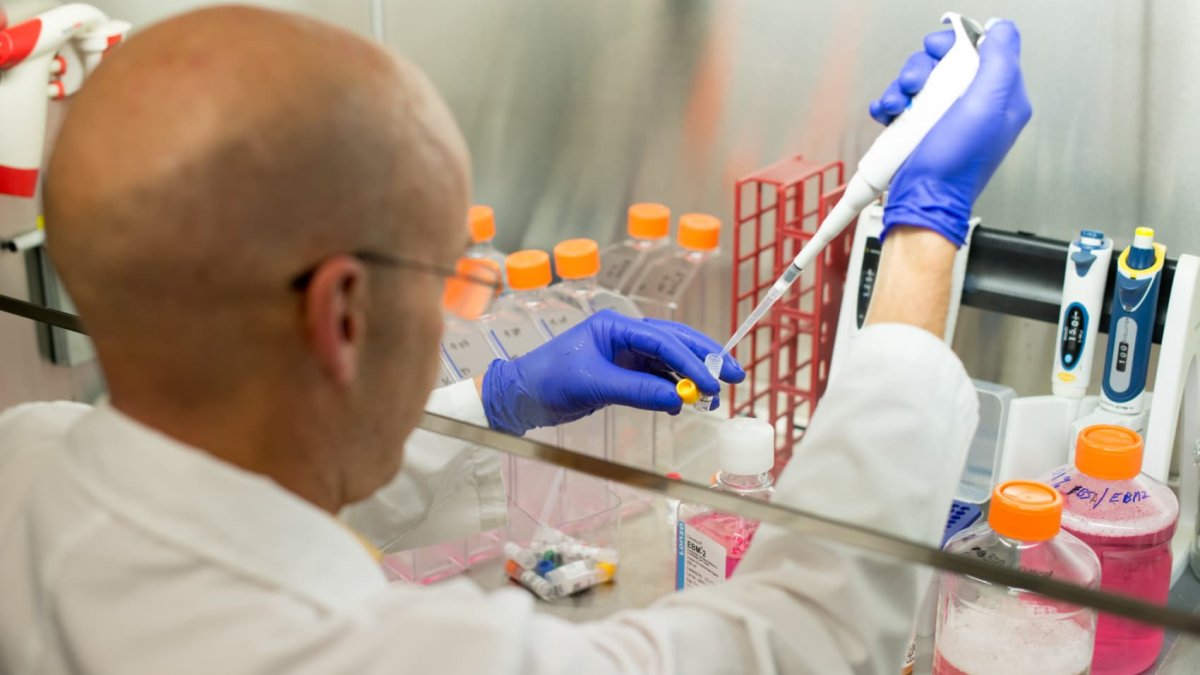 Recursion Pharmaceuticals CEO explains how AI could make drug ...