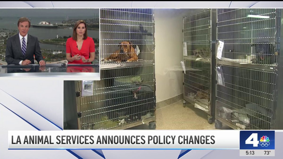 LA Animal Services announces new polices after employee attack – NBC ...