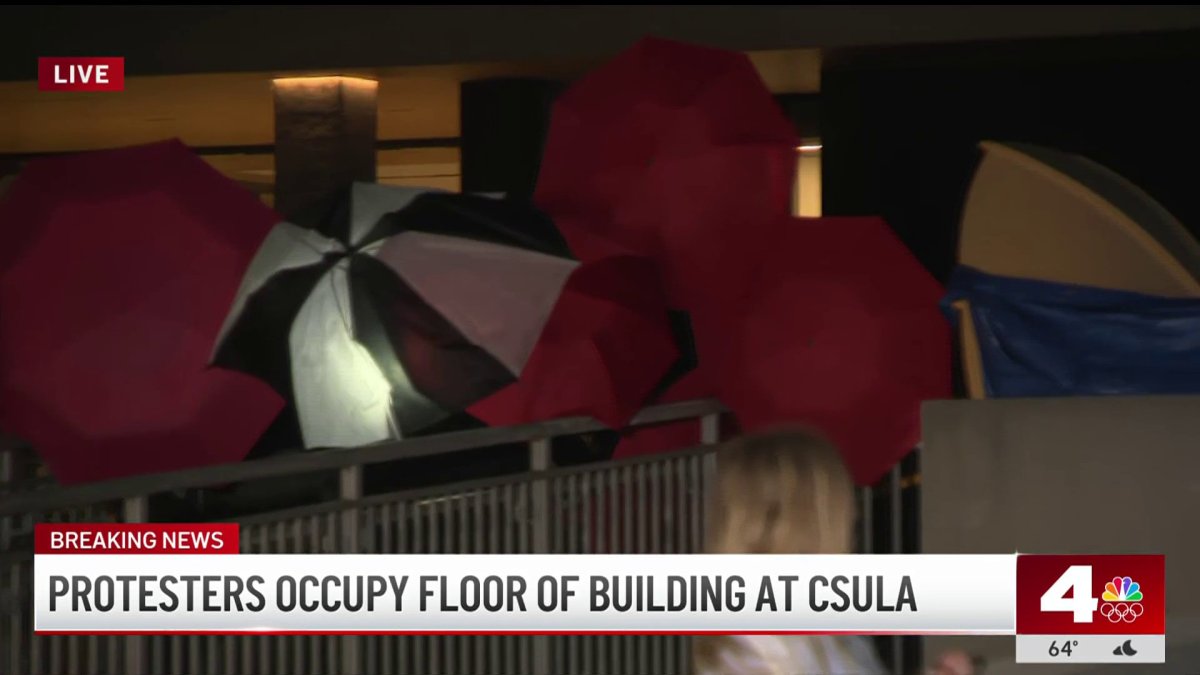 CSULA issues shelter in place amid pro-Palestinian protest on campus ...
