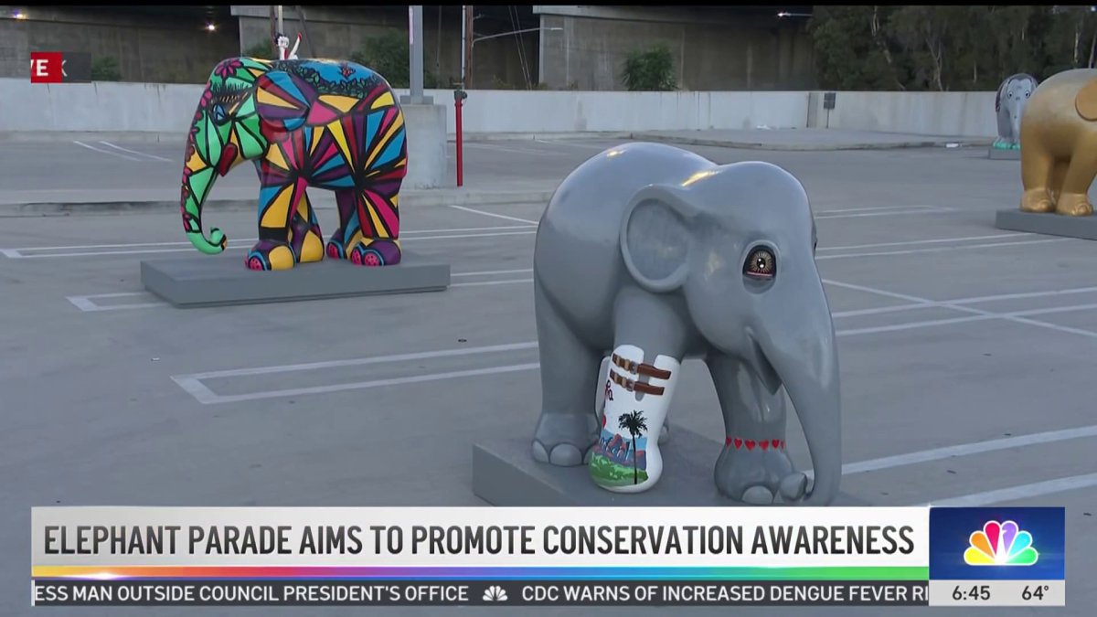 Elephant conservation parade comes to Burbank – NBC Los Angeles