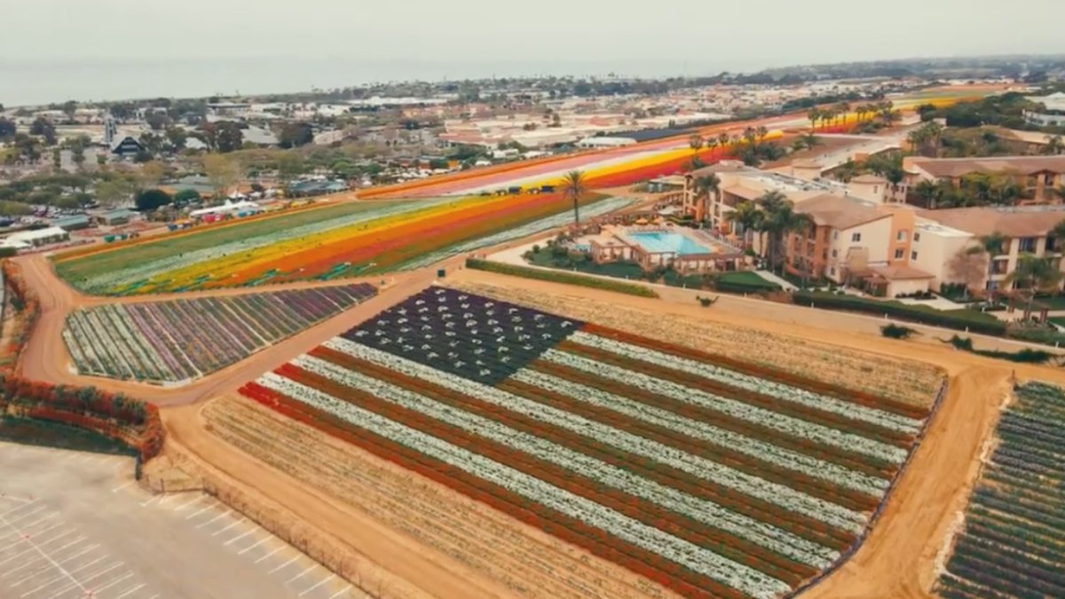 This giant flower flag is a stirring must-see – NBC Los Angeles