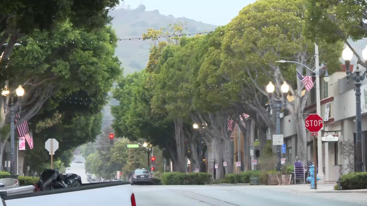 Whittier residents protest removal of over 80 ficus trees – NBC Los Angeles